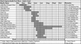 West Virginia Trout Fishing: Fly Fishing At Harman's Log Cabins