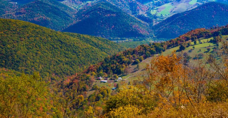 West Virginia Fall Foliage 2022: 7 Places to Visit & Peak Dates