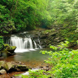 8 Popular Seneca Rocks Hiking Trails & Nearby Trails