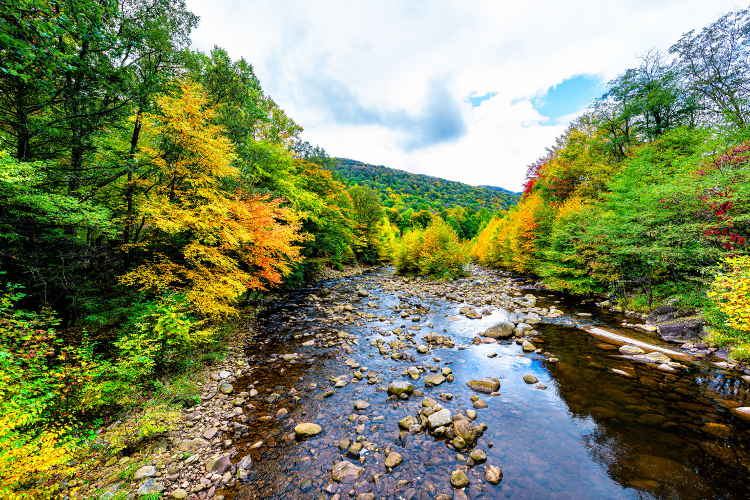 Best Time to Visit Dolly Sods in West Virginia
